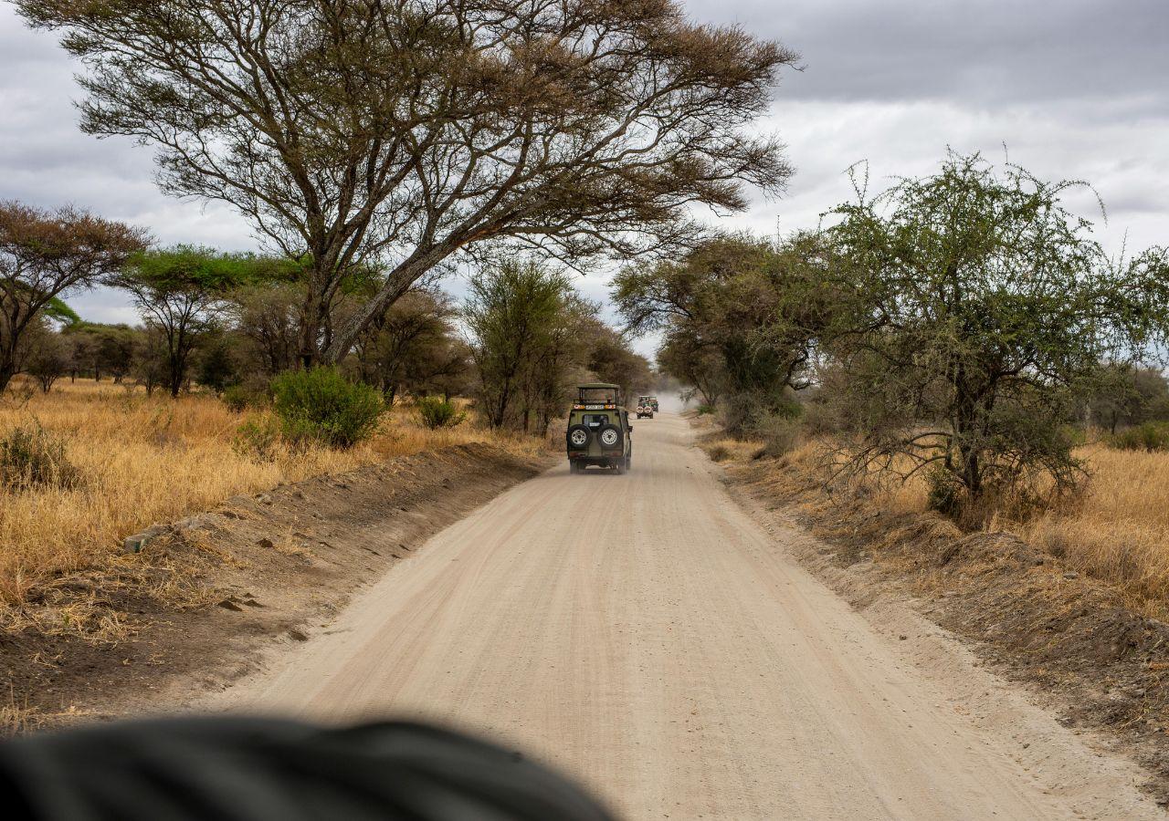 Where to Go on a Luxury Family Safari with Kids Under 6 | Mahlatini