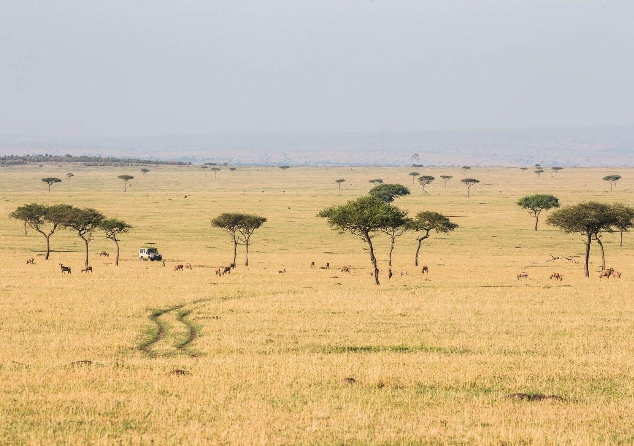 How to Seamlessly Plan a Family Safari Holiday With Kids | Mahlatini