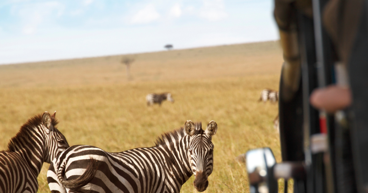 7 Expert Tips for Planning a Luxury Safari Holiday | Mahlatini