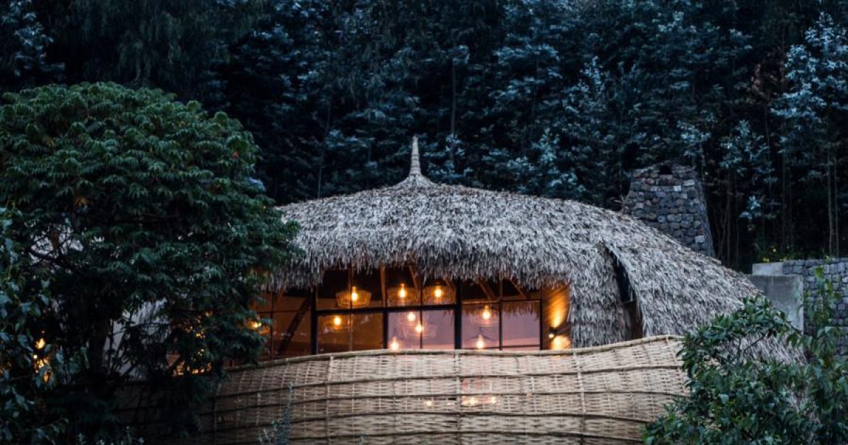 Where to Stay to go Gorilla Trekking | Mahlatini