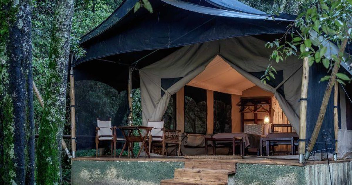 Elephant Pepper Camp, Masai Mara, Kenya