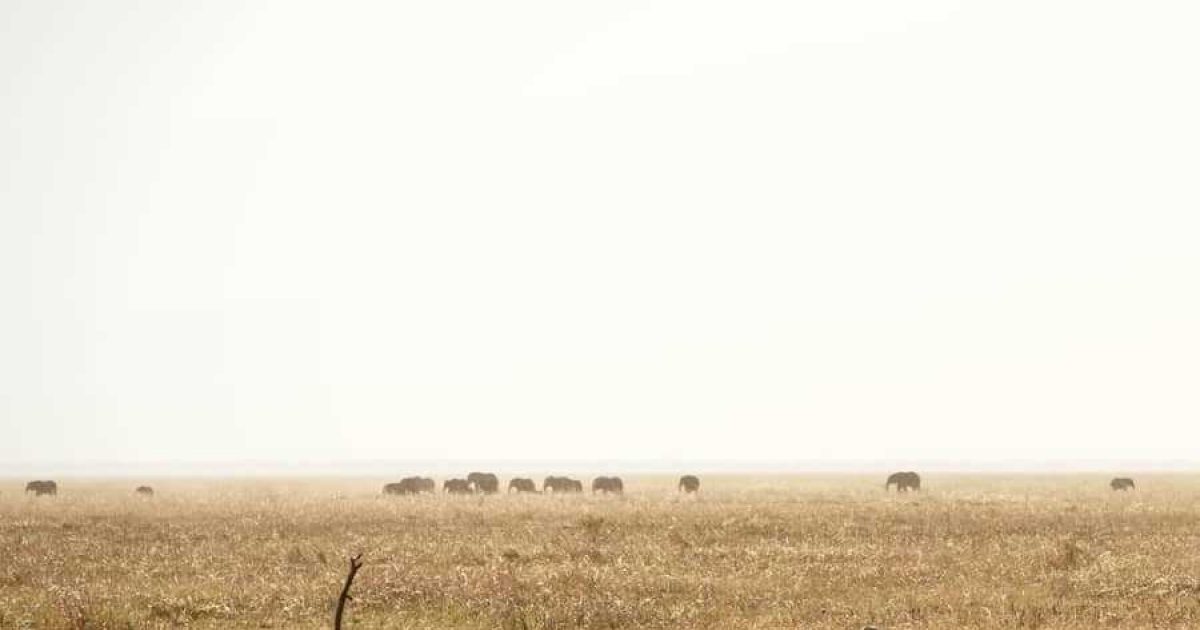 Katavi National Park Safari, Tanzania