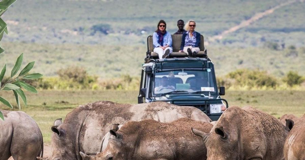 Kenya Safaris | Travel Guide