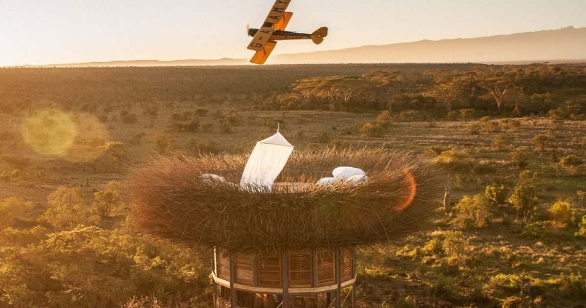 Visit Kenya Travel Brochure Why Kenya Is The Best Place For A Safari,