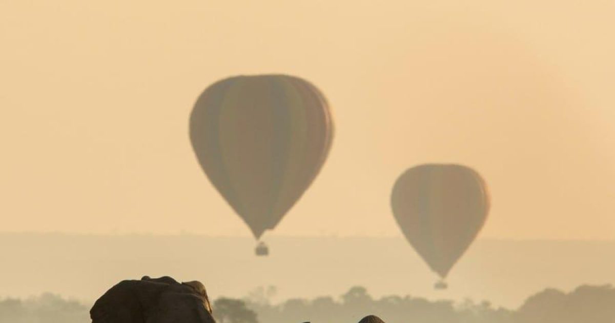 Luxury Maasai Mara Safari | Mahlatini Luxury Travel