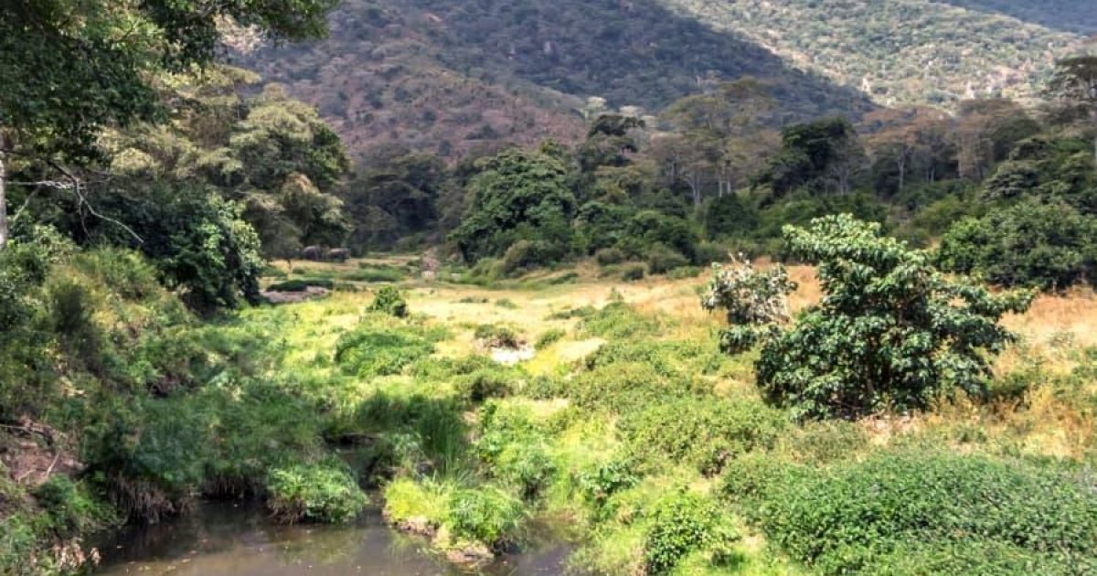 Matthew's Mountain Range, Kenya | Mahlatini.com