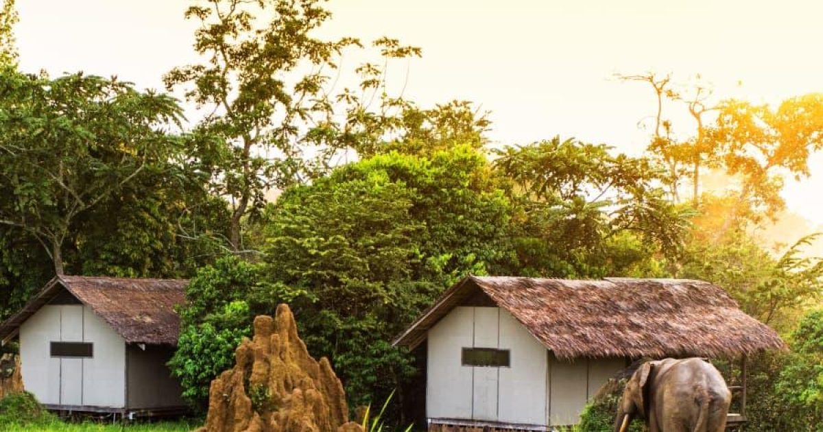 Mboko Lodge | Mahlatini Luxury Travel