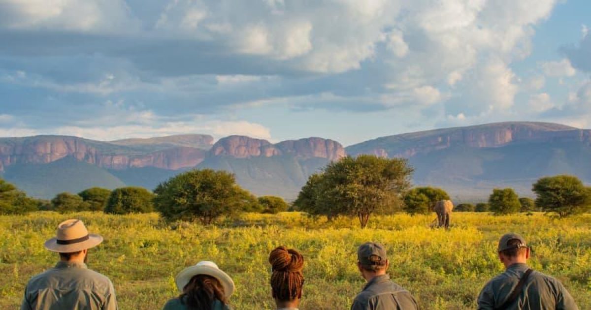 Where to Go on a Luxury Family Safari | Mahlatini