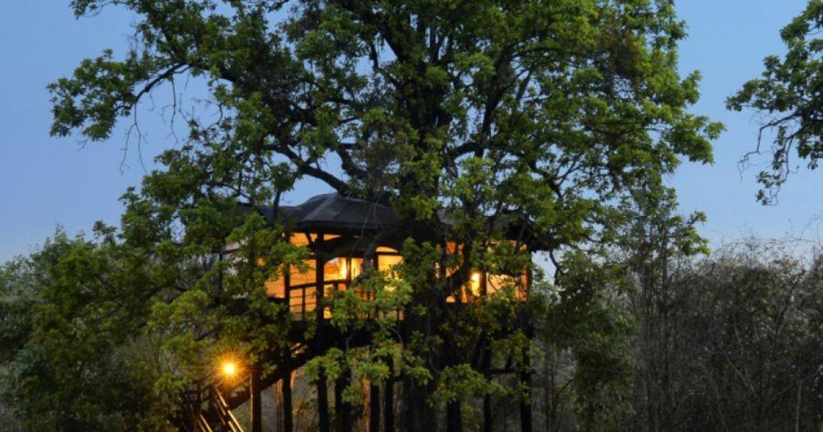 Pench Tree Lodge | Pench National Park, India