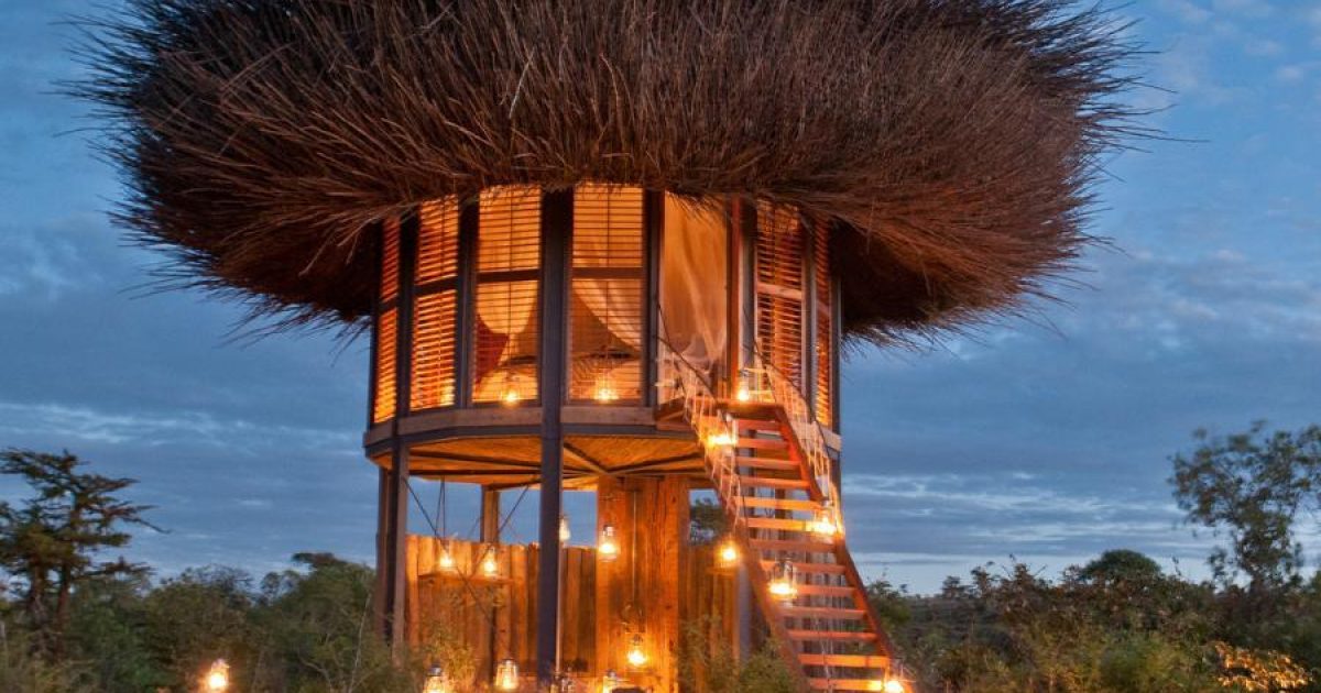 6 Ways to Reimagine the Safari Experience | Mahlatini