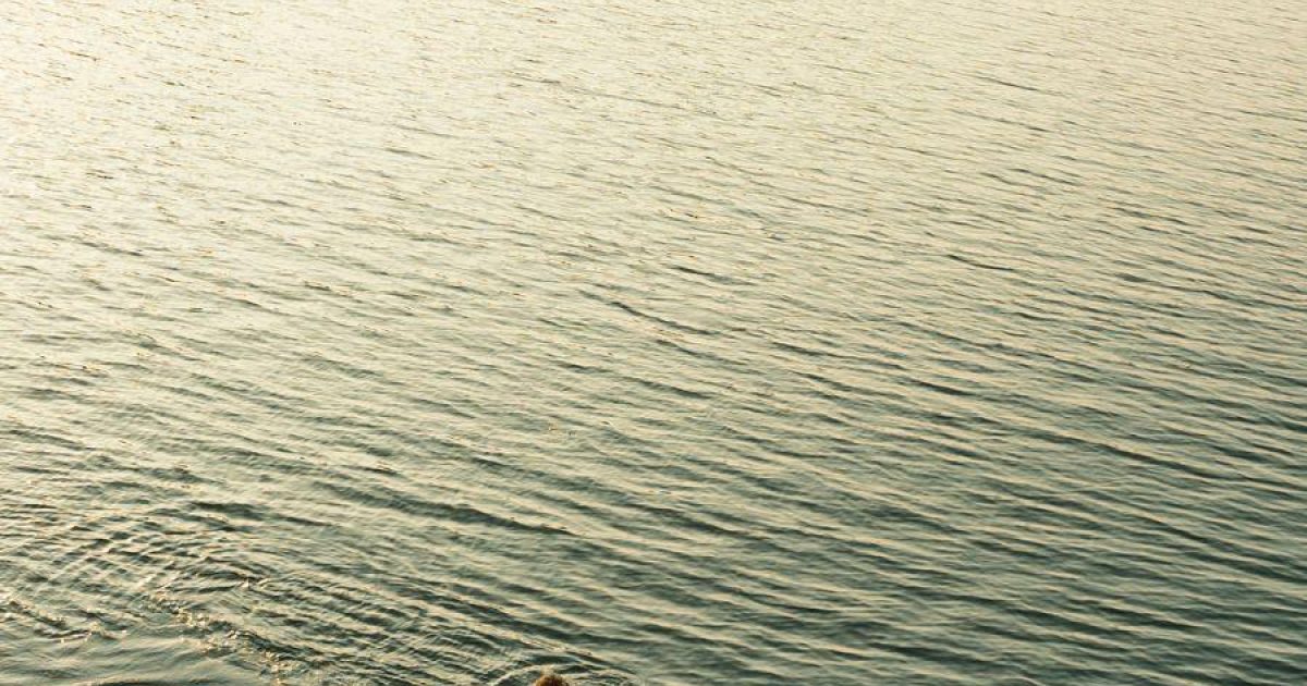 Windermere River House | Kerala, India