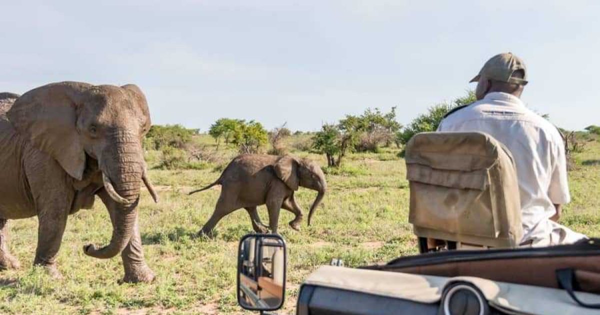 Luxury South Africa Safari and Beach | Mahlatini Luxury Travel