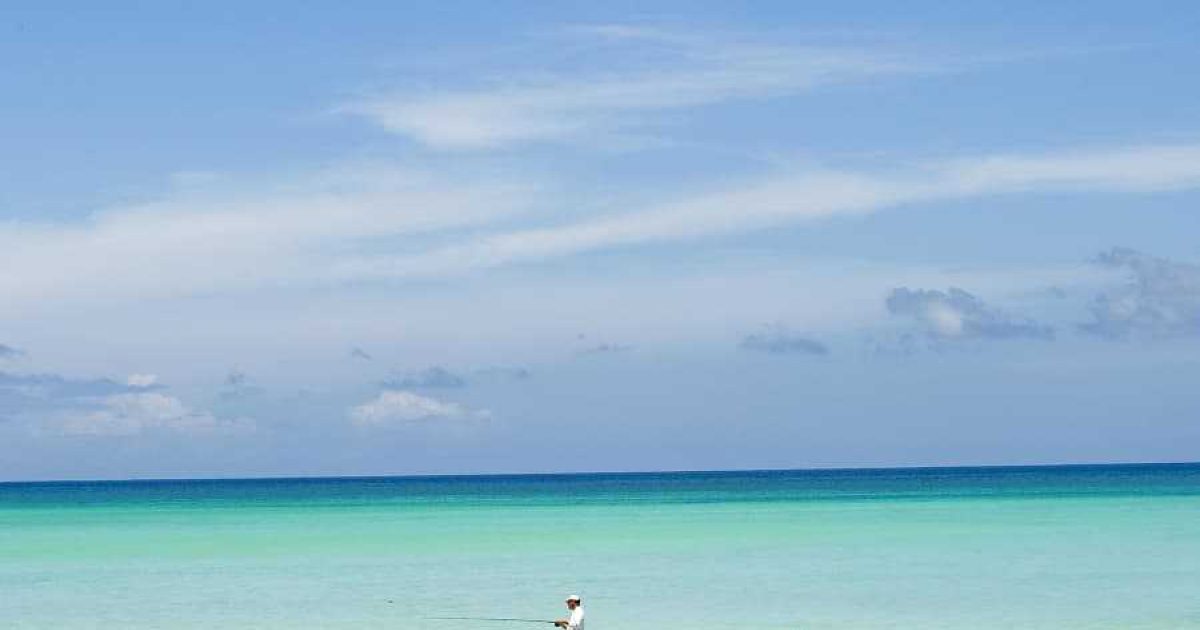 Luxury Mozambique Safari and Beach | Mahlatini Luxury Travel