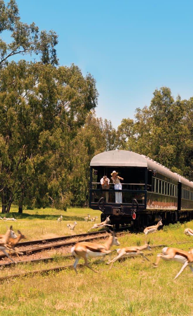 Mahlatini Luxury Travel | Luxury African Safari & Beach Specialists