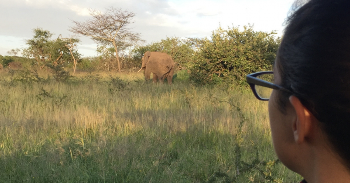 The prize of a lifetime, a luxury Tanzania safari | Mahlatini