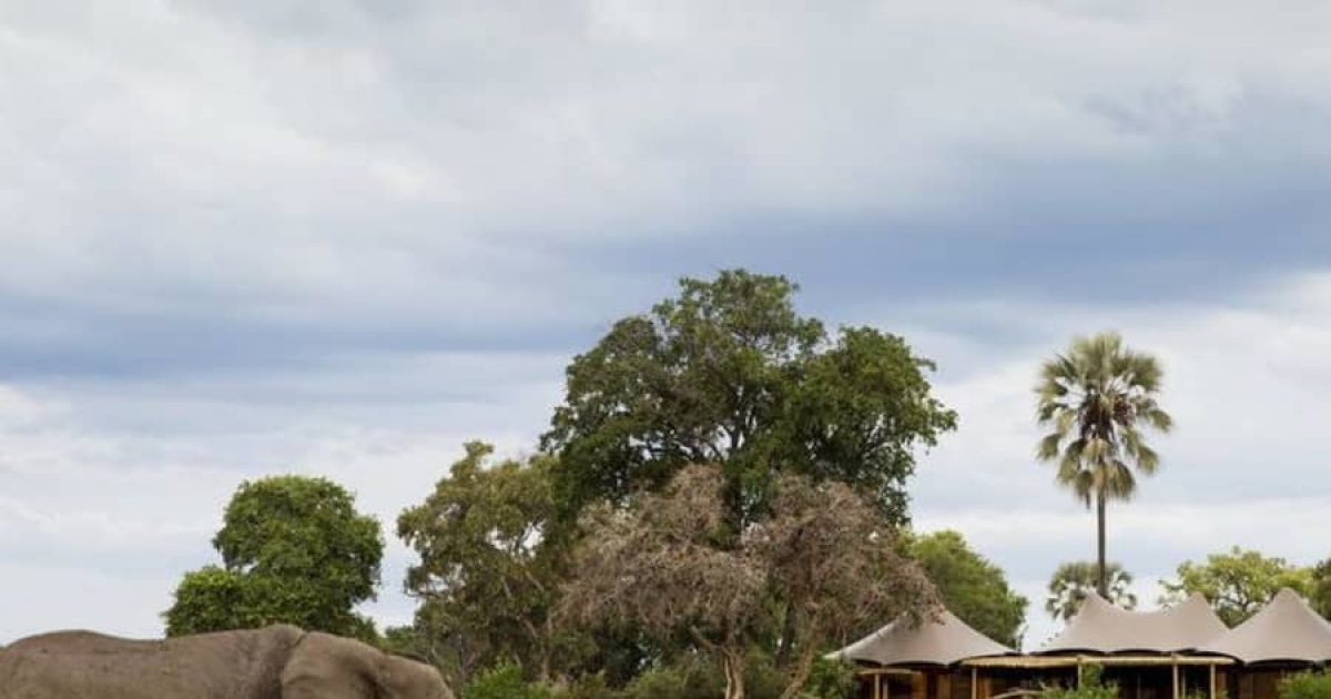 Mombo Camp, Okavango Delta, Botswana | Mahlatini Luxury Travel