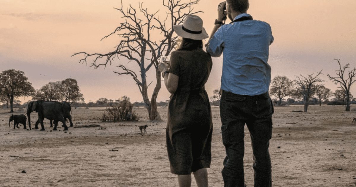 Linkwasha Camp, Hwange National Park, Zimbabwe